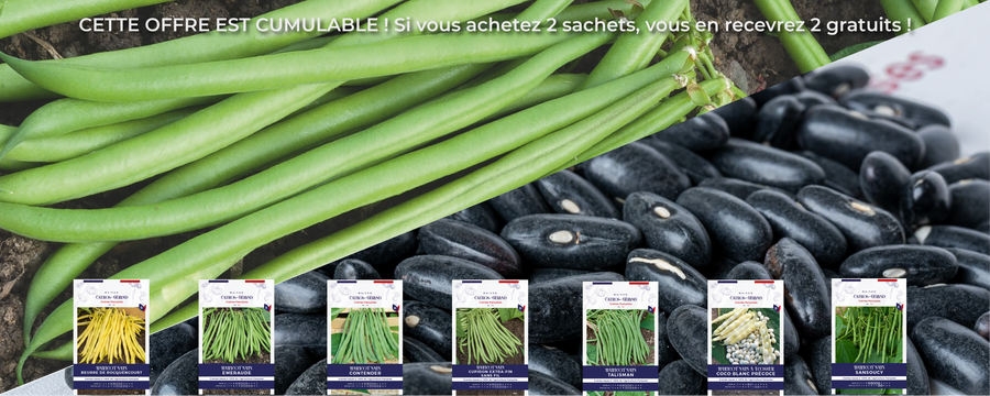 Vente de graines potagères et florales reproductibles, 1OO% françaises